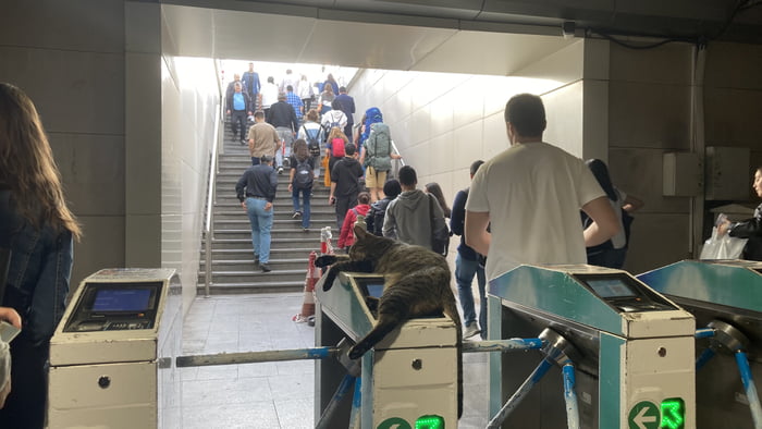 None shall pass this toll gate. - 9GAG