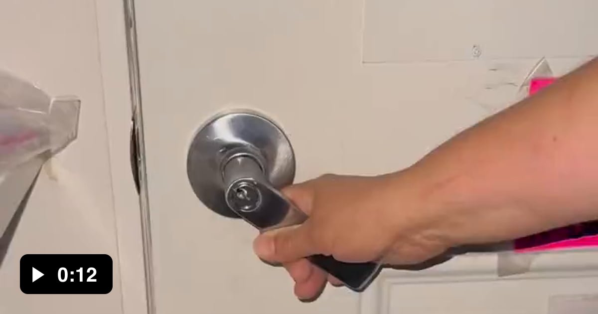 Are you a cat lady? Nooooo... Also her apartment - 9GAG