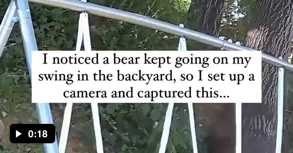 Bear necessities - 9GAG