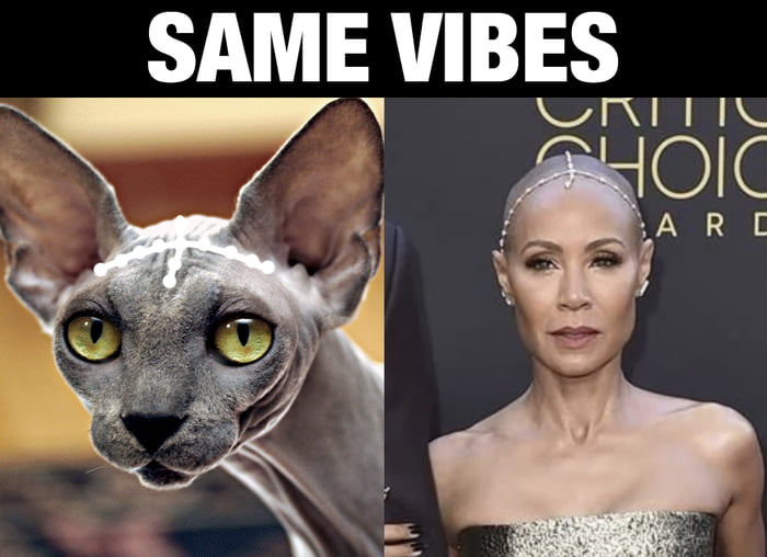 Same vibes indeed - 9GAG