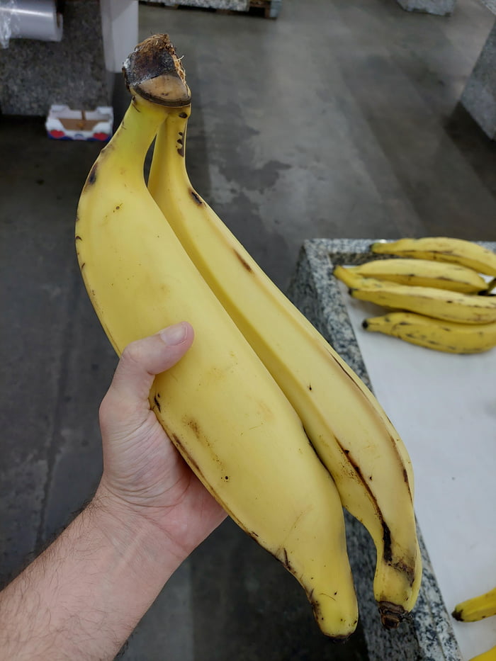 These absolute units (pictured with banana for scale) - 9GAG
