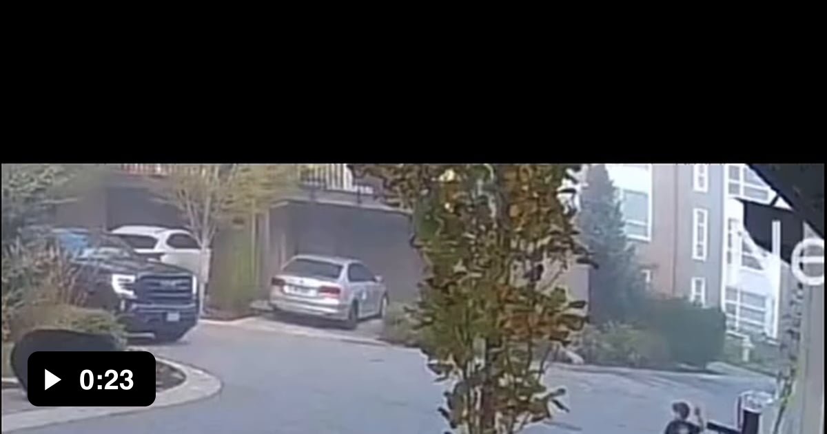 Boy stands his ground against a full-grown bear. Got more balls than most 9gaggers. - 9GAG