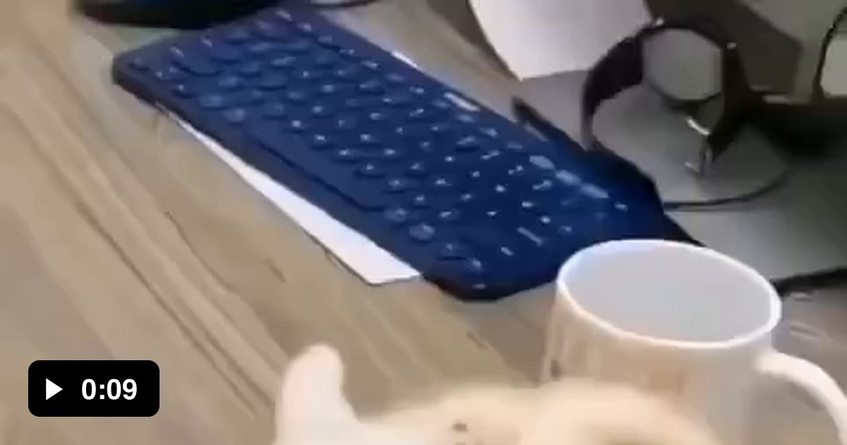 Yes, this is my best position - 9GAG