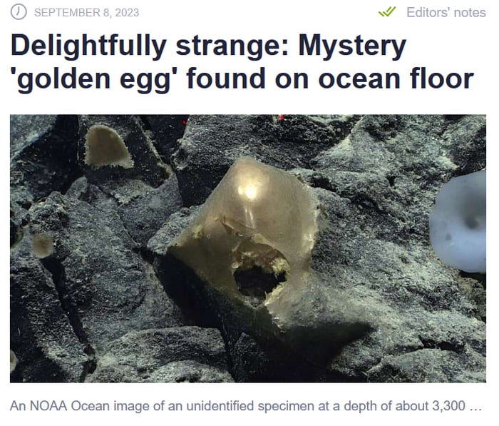 And they brought it back to the surface - 9GAG