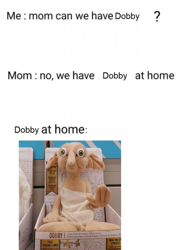 Dobby has no master... - 9GAG