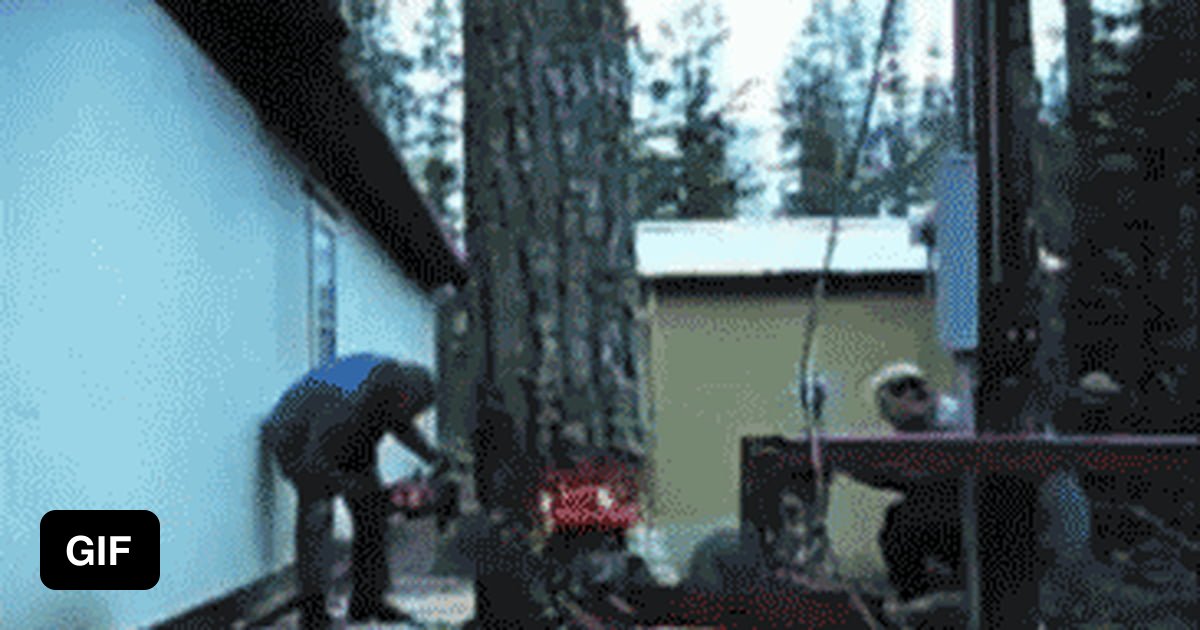 Timber! - 9GAG
