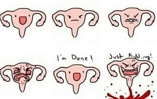 Hi! I'm a uterus and I'm here to ruin your life.. Bye! - 9GAG