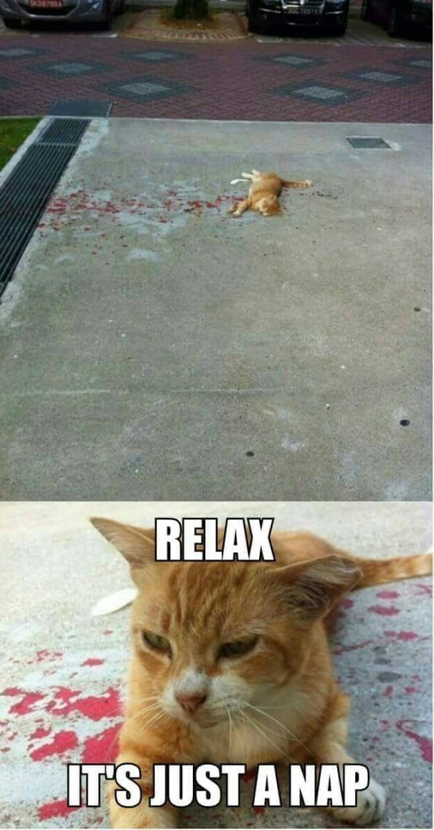 Mini heart attack - 9GAG