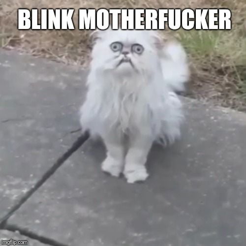 Blink motherf**ker - 9GAG