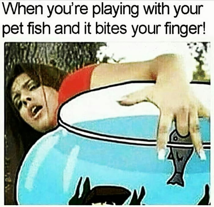 Do you also put your finger into the fish's mouth? - 9GAG