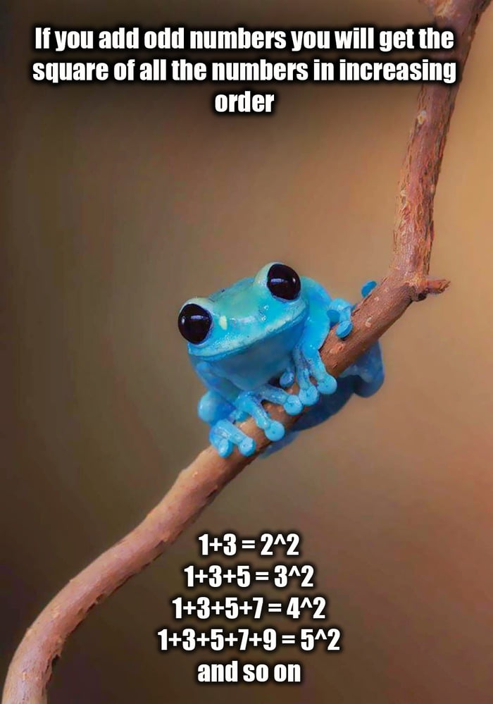 Square numbers in increasing order – I LOVE FUNNY THINGS