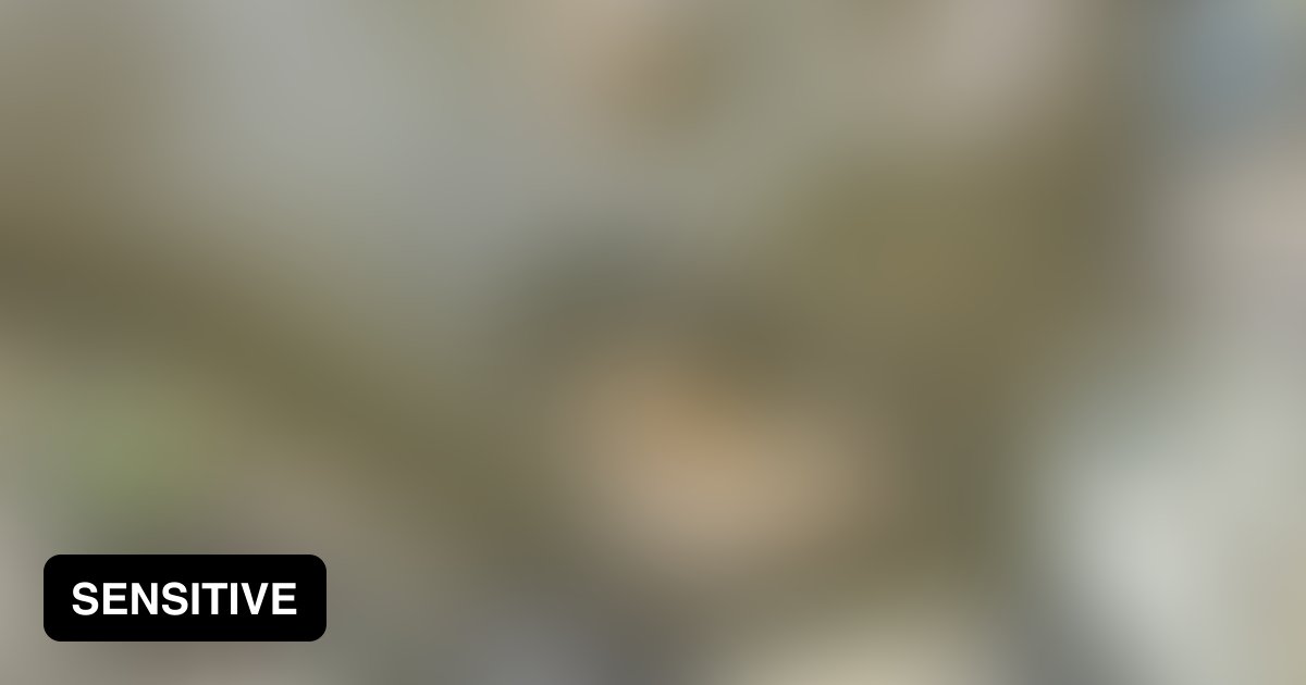 This is stone - 9GAG