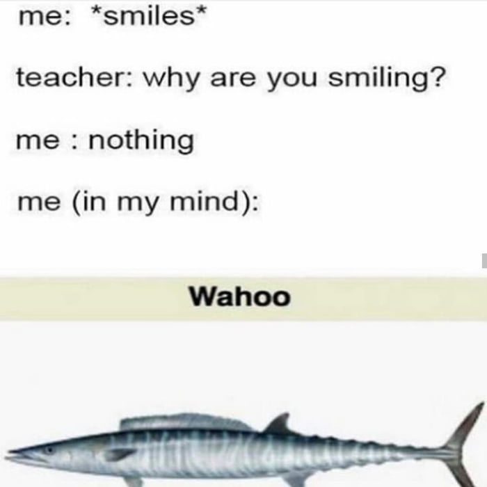 Wahoo - 9GAG