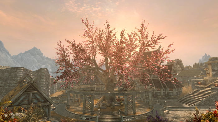 The Gildergreen Tree in the heart of Whiterun next to that one guy ...