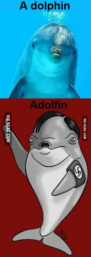 Adolfin - 9GAG