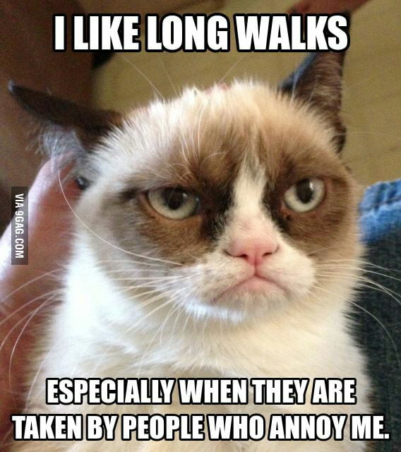 Mr. Grumpy Cat - 9GAG