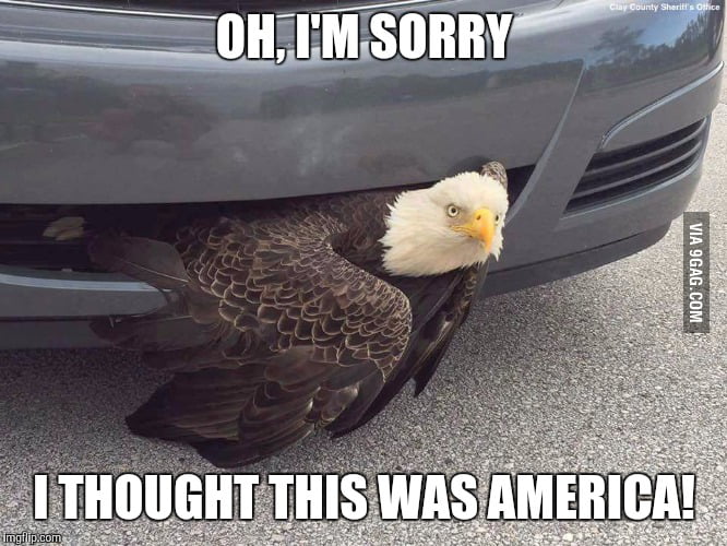 Oh, I'm sorry! - 9GAG