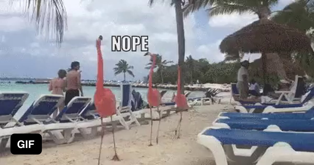 What about here? Nope. - 9GAG