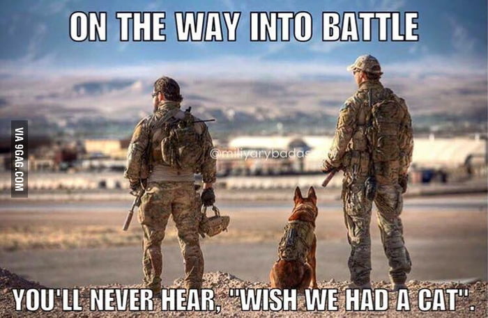 Doge army unit - 9GAG