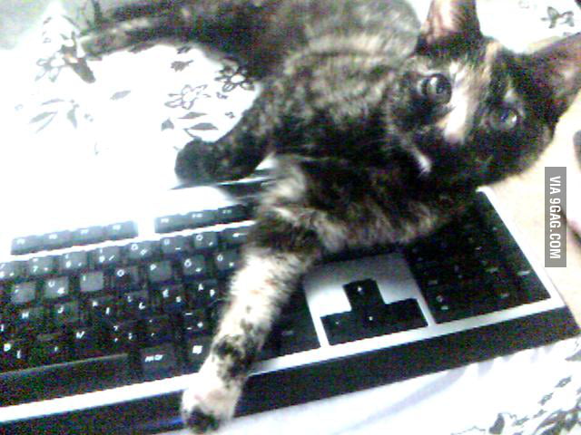 No, you no play today. You wuv me today. - 9GAG