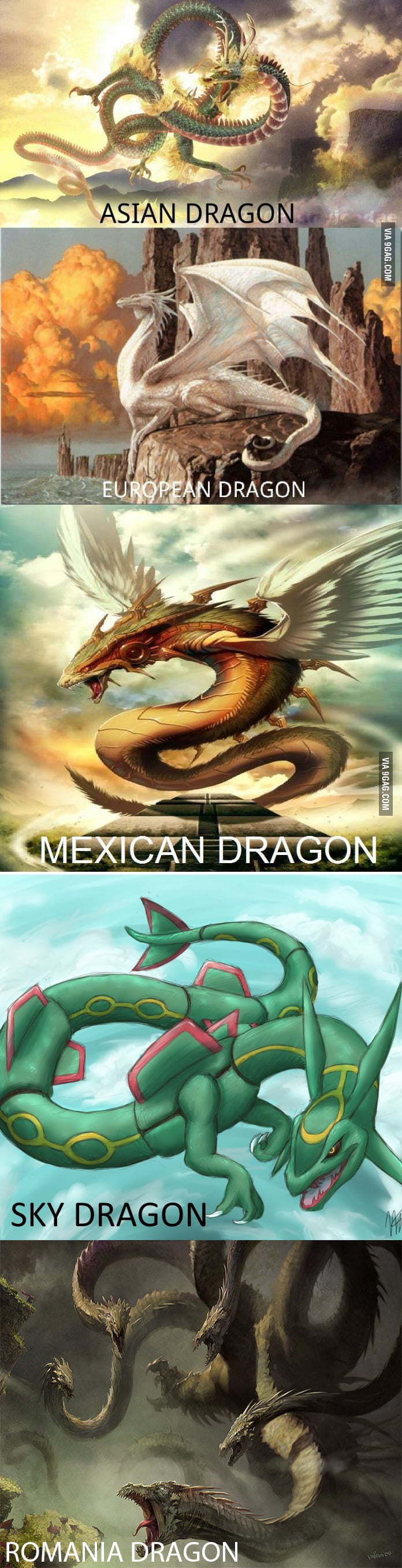 Balaur Dragon