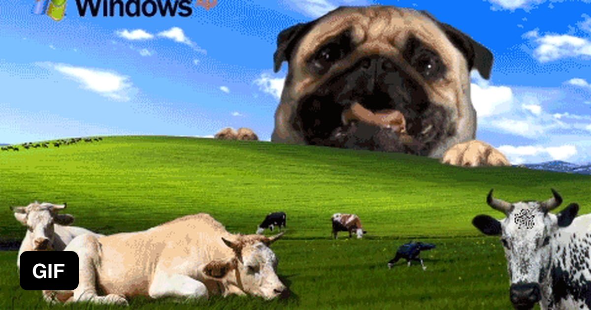 Snappy animated work to brighten up the day - 9GAG