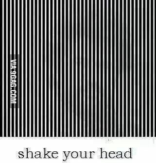 Shake your head! - 9GAG