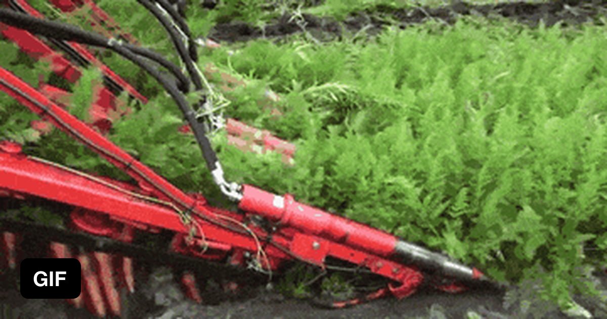 So efficient it’s “amazing” - 9GAG