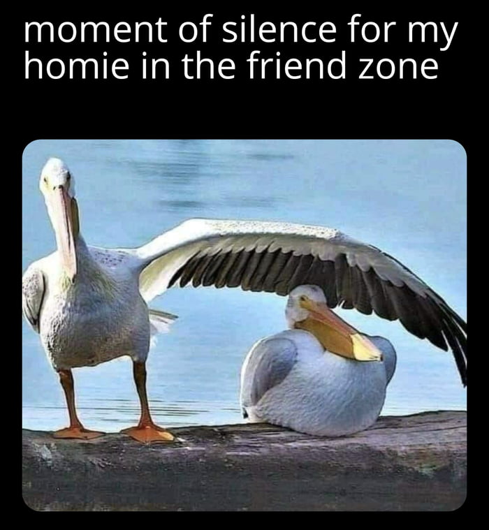 Damn nature, you scary - 9GAG