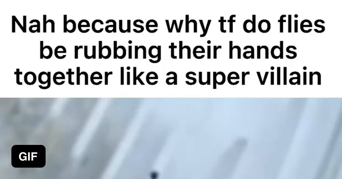 *rubs fly hands together* - 9GAG