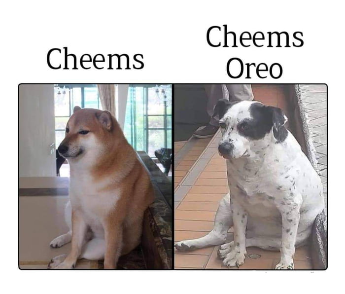 Cheems oreo - 9GAG