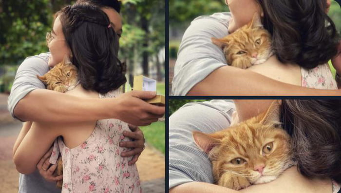 The perfect proposal - 9GAG