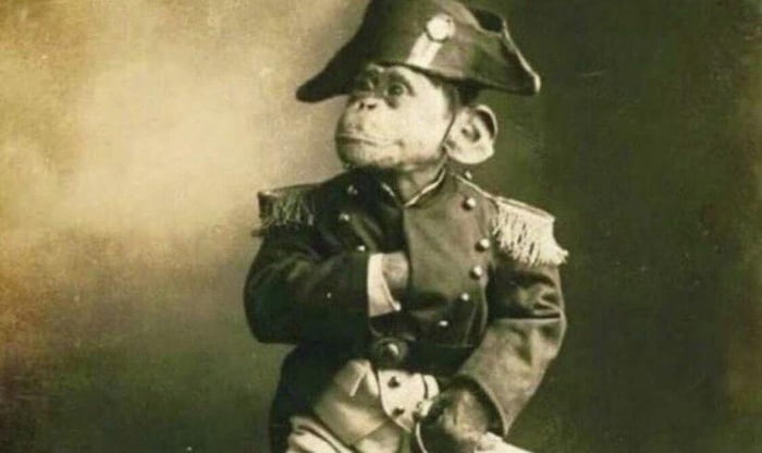 Only lasting photograph of Napoléon Bonaparte (1820) - 9GAG