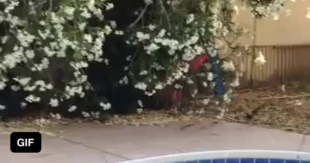Running around in a drained swimming pool - 9GAG