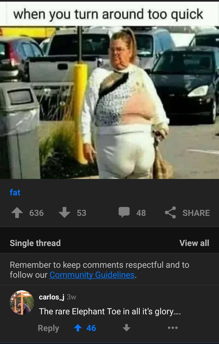 The majestic Elephant toe - 9GAG