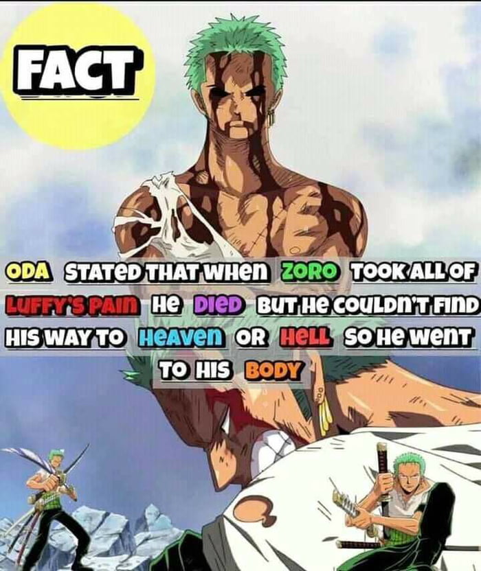 Poor Zoro - 9GAG