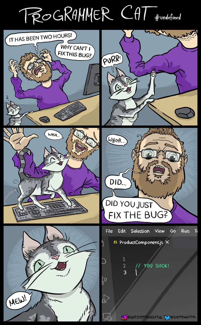 Programmer cat - 9GAG