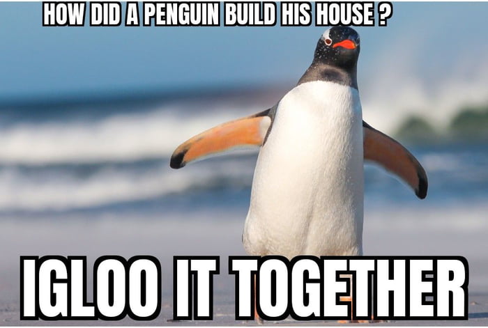 P-a-r-a-k-e-e-t = Penguin - 9GAG