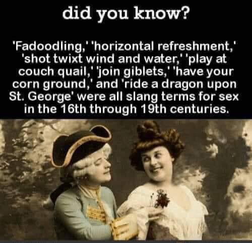 I’d enjoy a horizontal refreshment - 9GAG