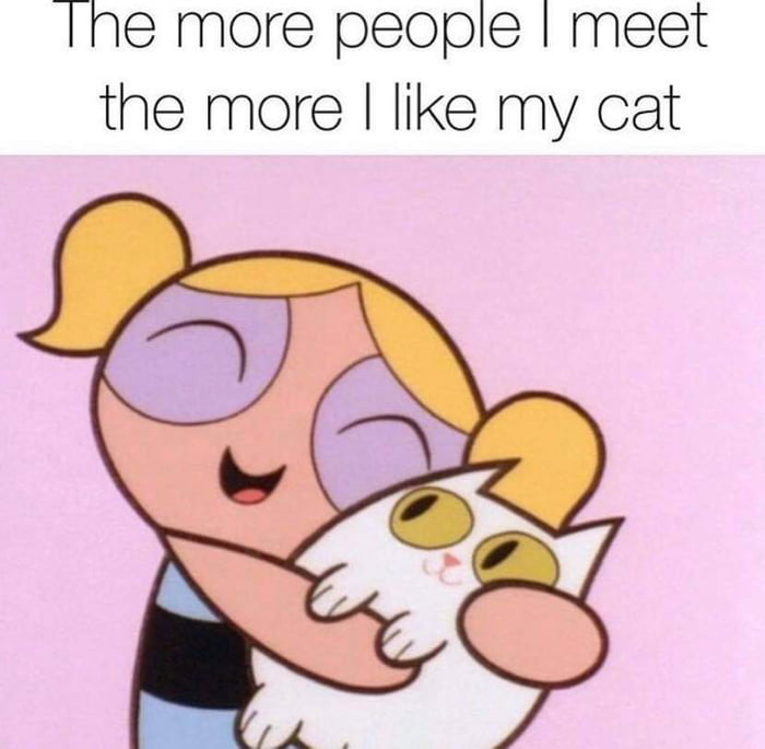 How many cats do you have? - 9GAG