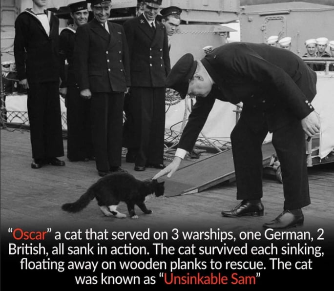 Sam, the unsinkable one - 9GAG