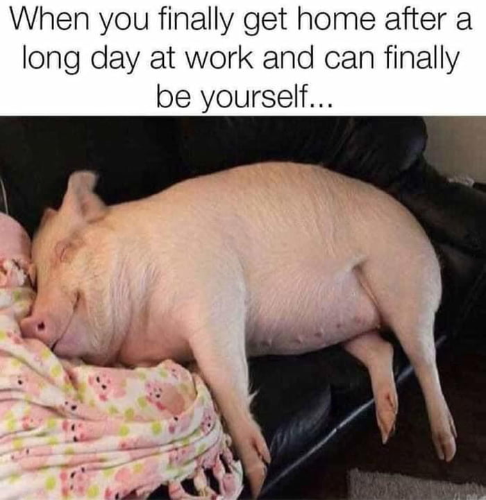 When you finally get home ... - 9GAG
