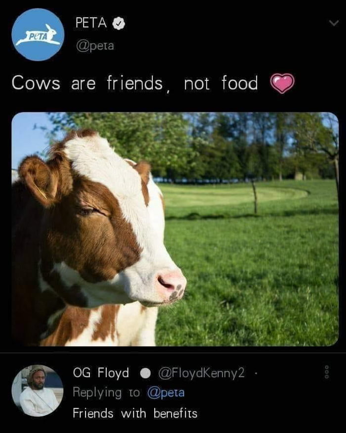 Yes, cow - 9GAG
