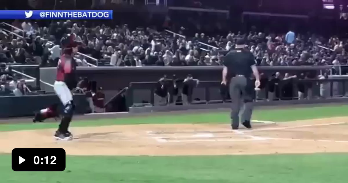 Crowd boo’s umpire after stealing the bat from the bat dog. - 9GAG