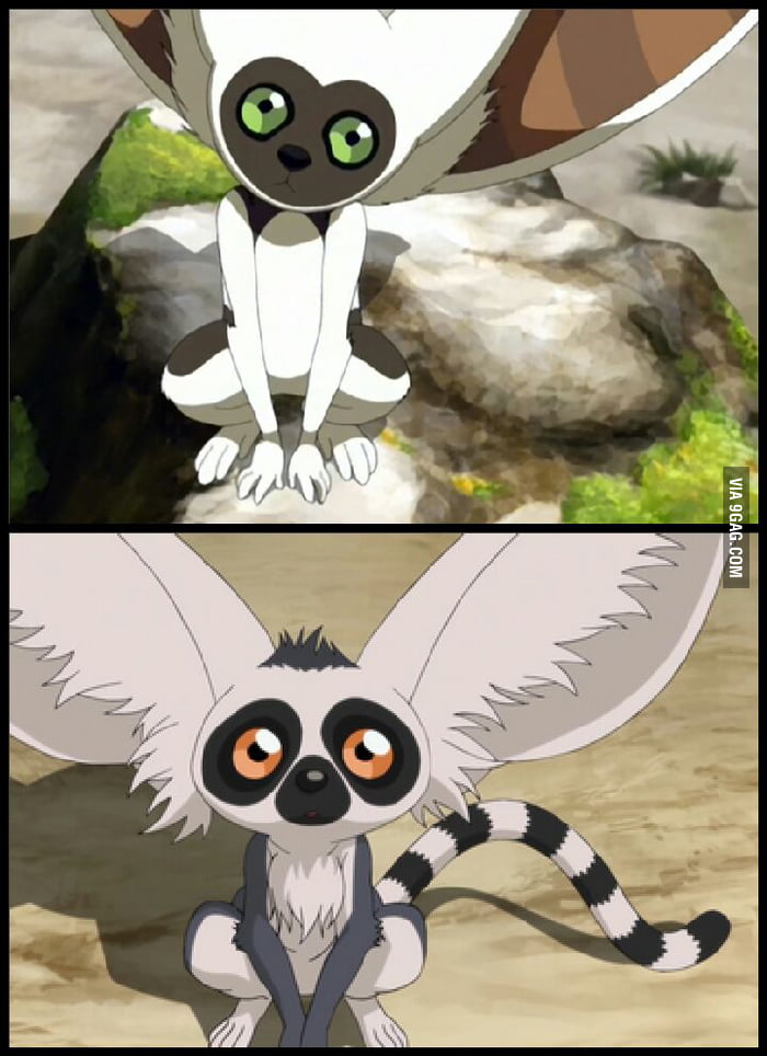 Here's a sad thought..MOMO is last of his kind (they're different) - 9GAG