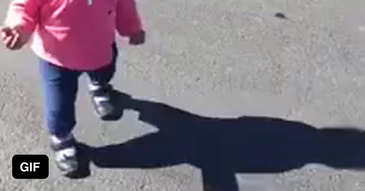 This is my life - 9GAG