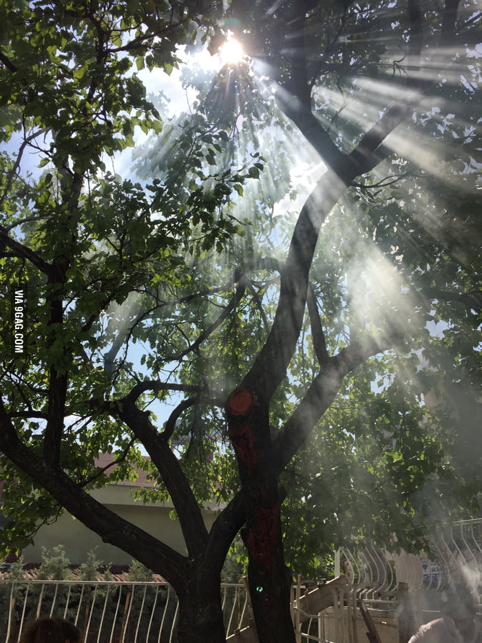 This is the photo I took while we were having barbeque - 9GAG