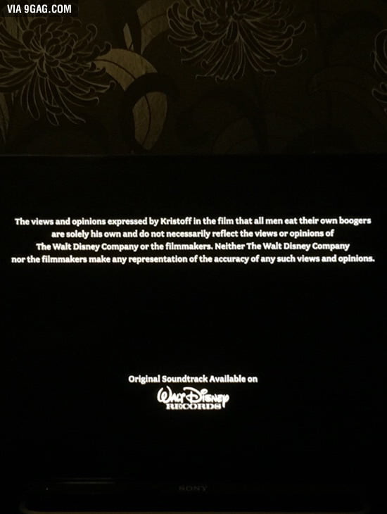 Just caught this at the end of the Frozen credits - 9GAG