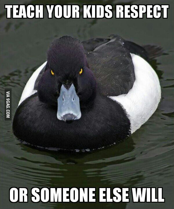 It should be pretty common sense by now. - 9GAG