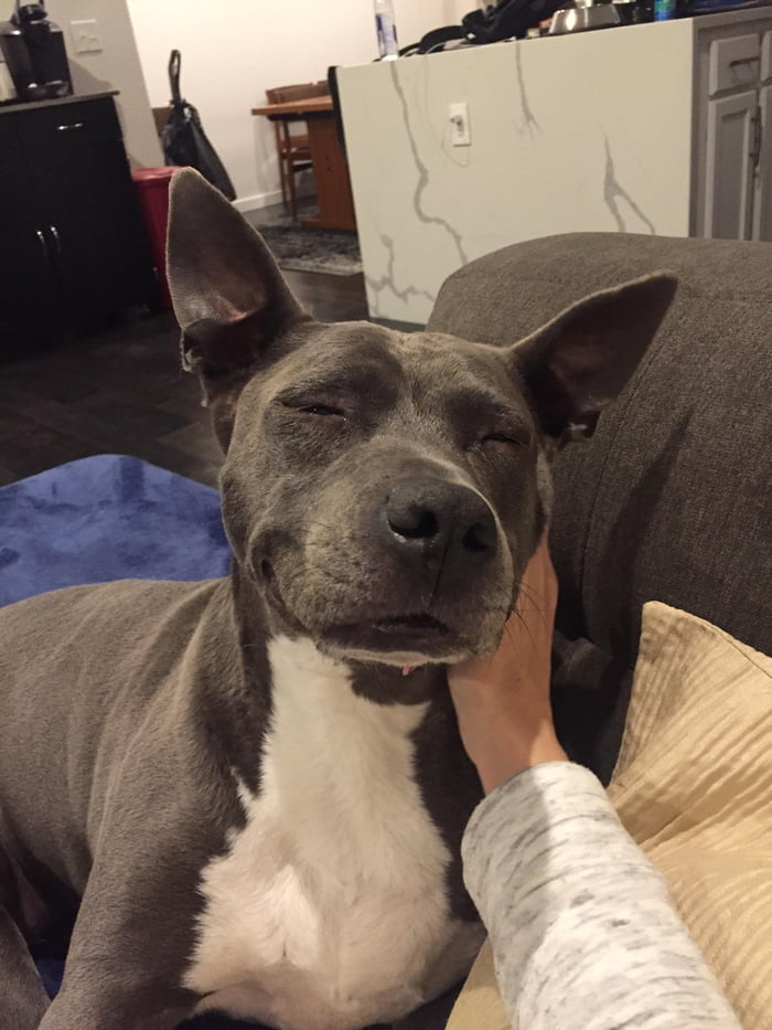 The most perfect smile! - 9GAG